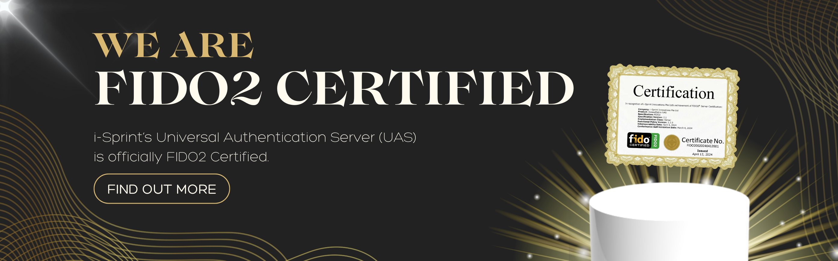 Access and Identity Management System and Solutions